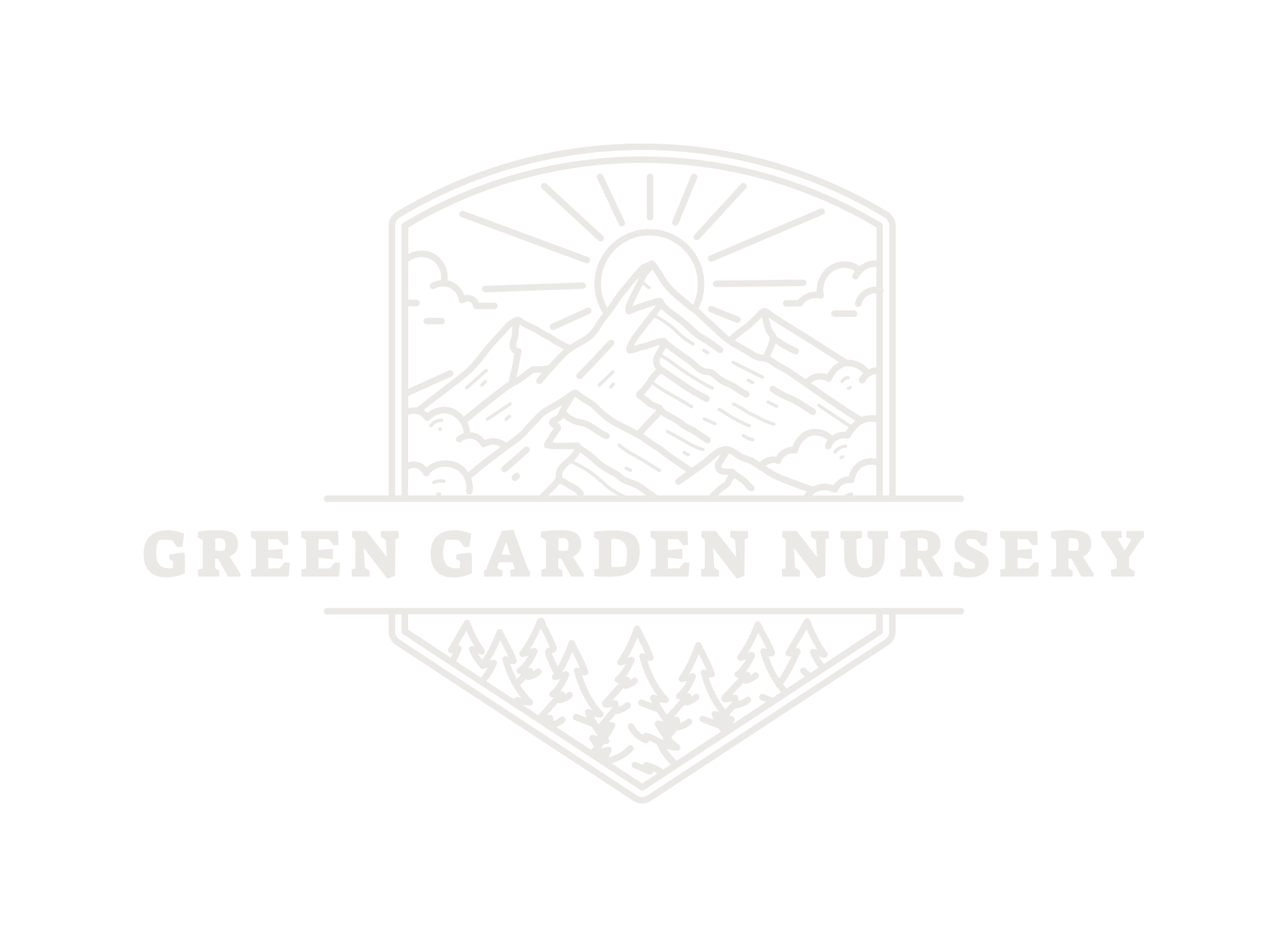 Green Garden Nursery